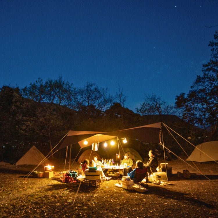 Camp Baird – Baird Beer