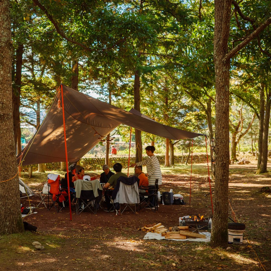 Camp Baird – Baird Beer